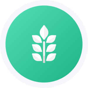 ERP Software System for Tea Industry