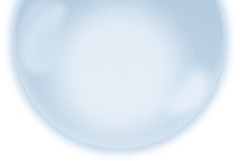 ERP System & Solutions Providers | Blue Lotus 360